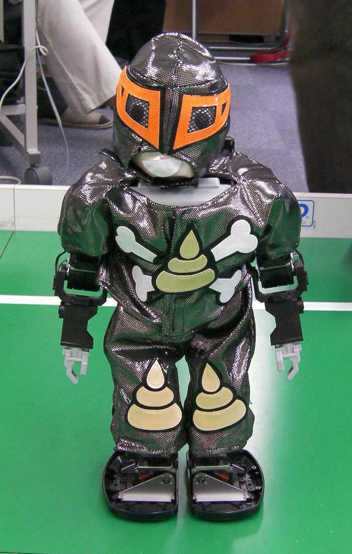 BIPED ROBOT NEWS JAPAN: Promotion of Robot Pro-Wrestling Match ...