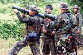 INCREDIBLE INDIA AND OTHER INCREDiBiLiTiES: THE FREEDOM FIGHT IN ...