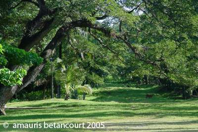 FlashCUBA: FOTOS DESDE HOLGUIN, EN EL ORIENTE DE CUBA.: Museo Conjunto ...