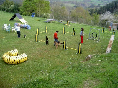 Urbanita aldealizada (que no aldeanizada): Tango empieza sus clases de ...