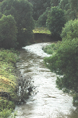 The Nature of Robertson: January 2008