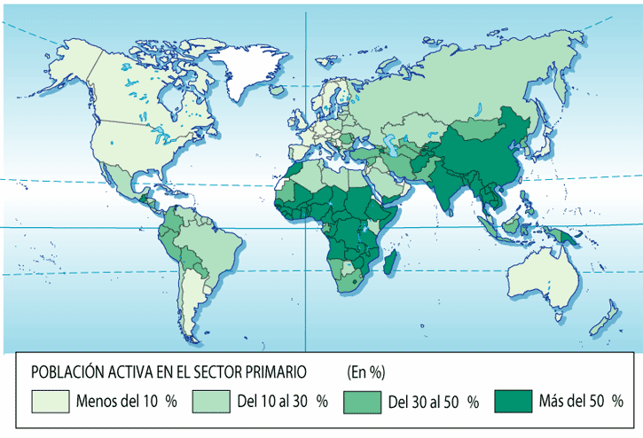Escuela Rural N° 4: SECTORES ECONÓMICOS