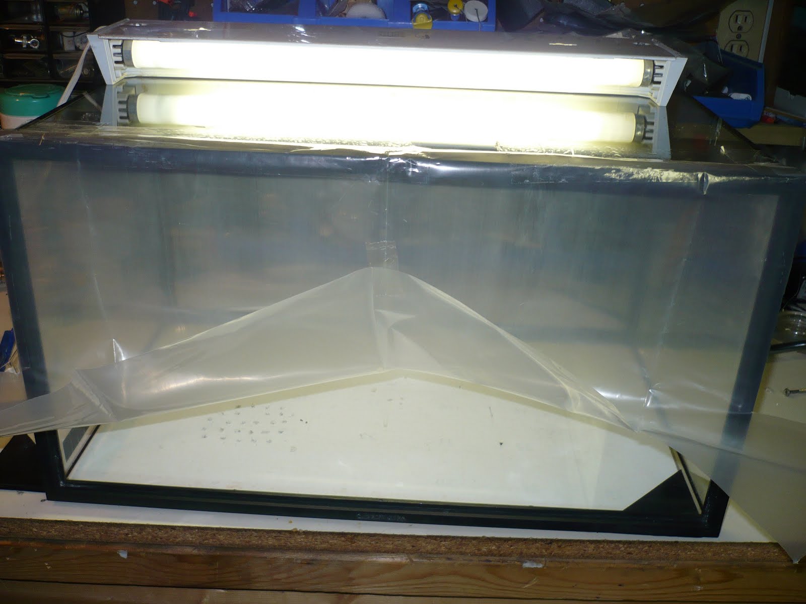 Citizen of Science: Building A Transfer Chamber