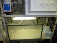 Citizen of Science: Building A Transfer Chamber