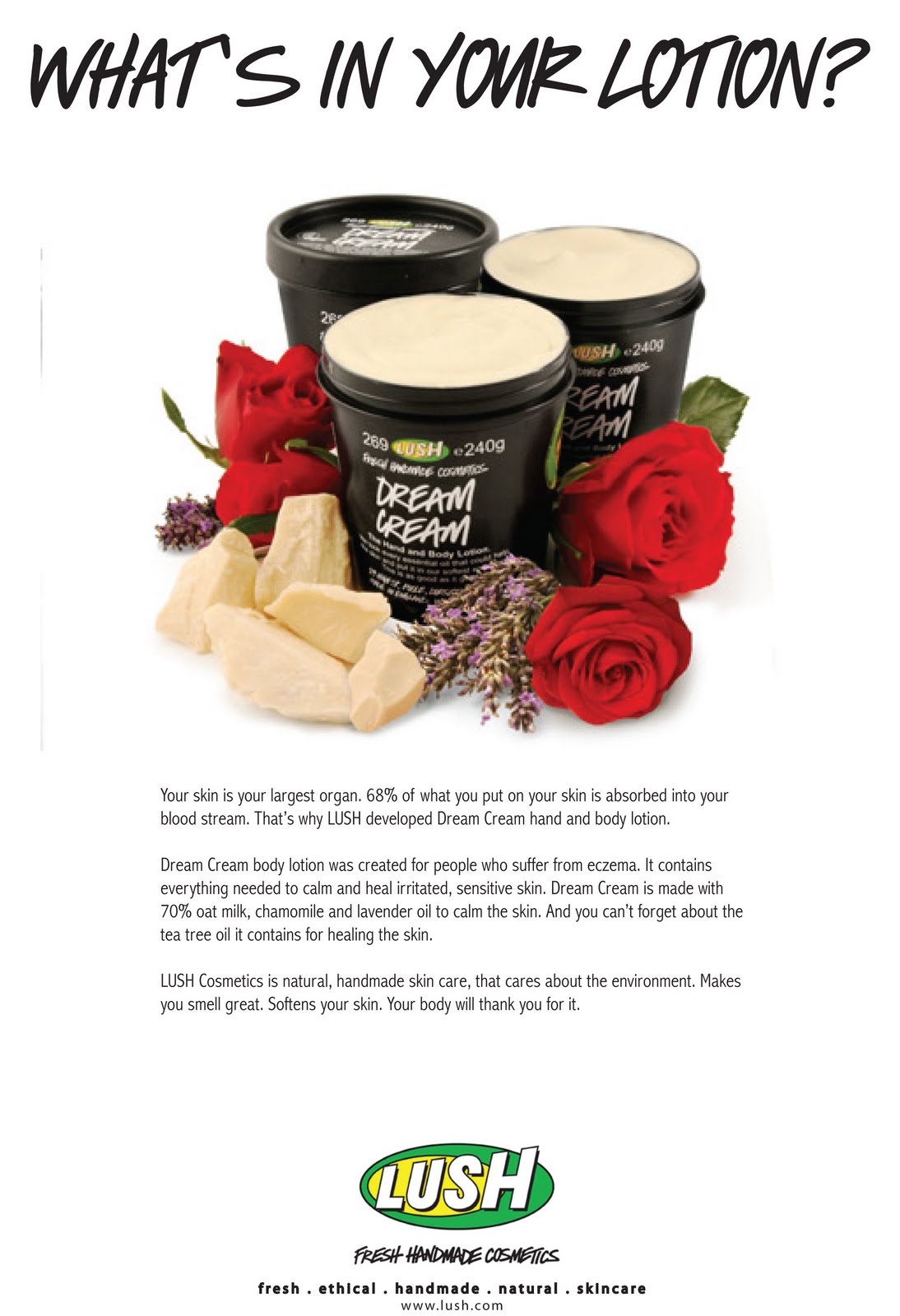 Carissa Megan Deschler Design: Fake Lush Campaign - Assignment.