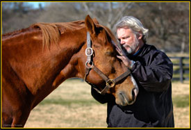CABALLOS DE CARRERAS: FIRST DOWN DASH LAID TO REST