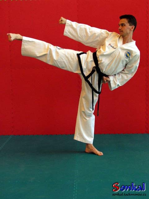 Soo Shim Kwan 水心館수심관: ITF Taekwon-Do's Side-Piercing Kick: What's in a ...