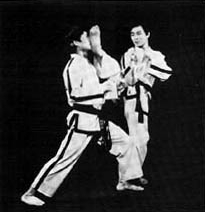 Soo Shim Kwan 水心館수심관: Confusing Terminology: Crescent Kick, Vertical ...