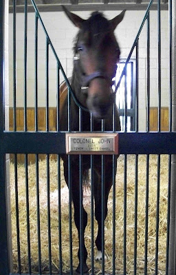 HarringtonTravels3: Letter 7 Kentucky III: Horses, Ohio River, Samboree