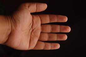 RAHSIA DIRI: Rahsia Tapak Tangan