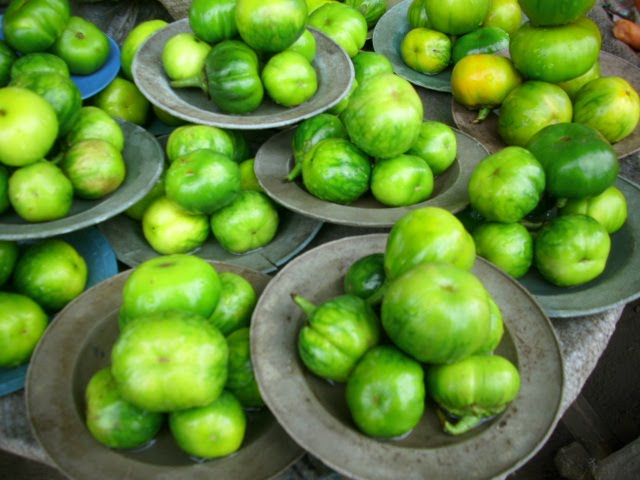 Agric. Products in Lagos Markets.: Article 46: IGBA (Garden Egg)