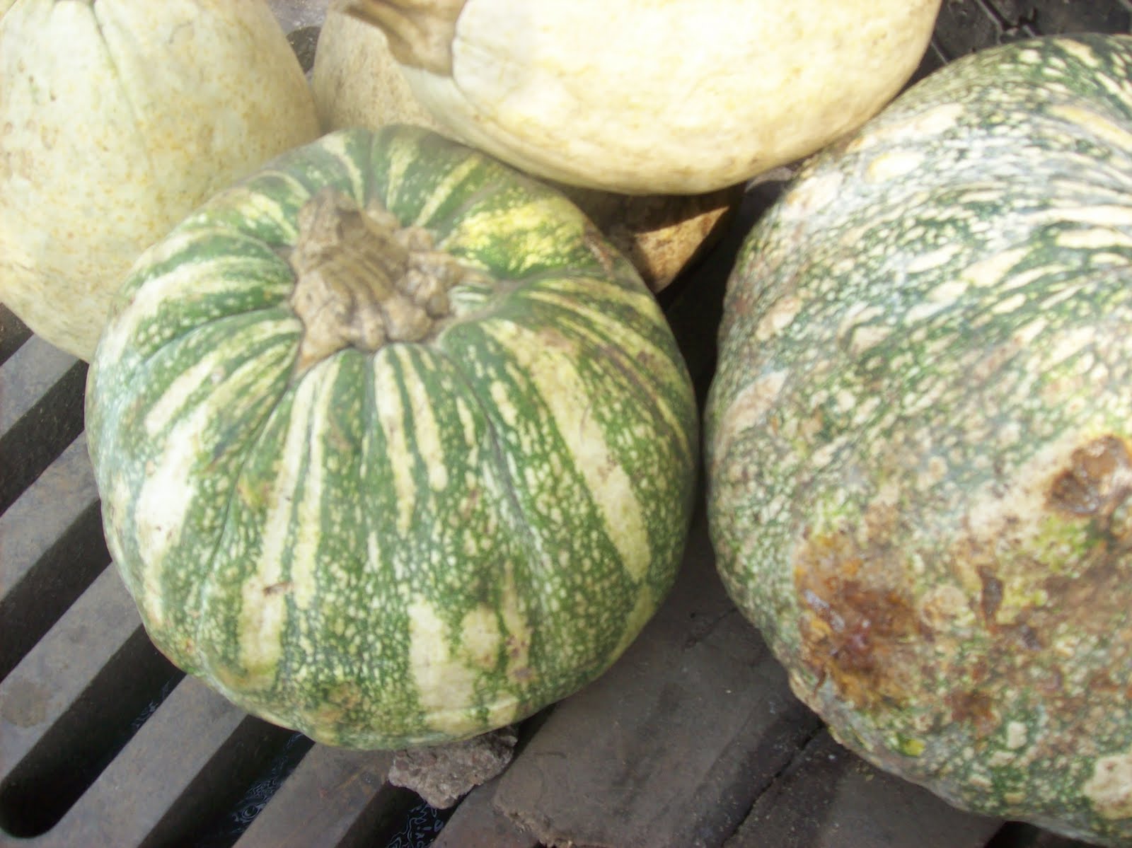 Agric. Products in Lagos Markets.: Article 65: The "Elegede" Vegetable ...