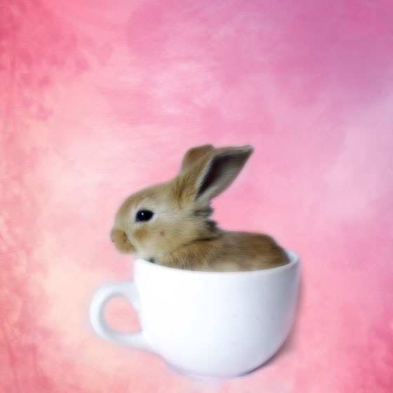 iPad Wallpapers: 30 Selected Wallpapers for iPad