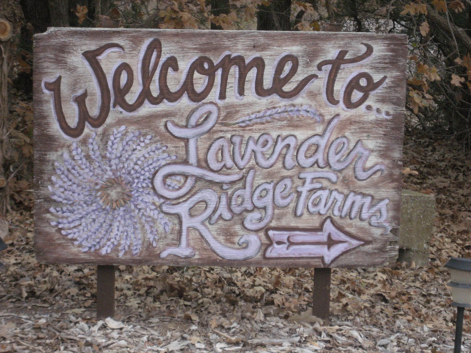 Oh Food!: Lavender Ridge Farms