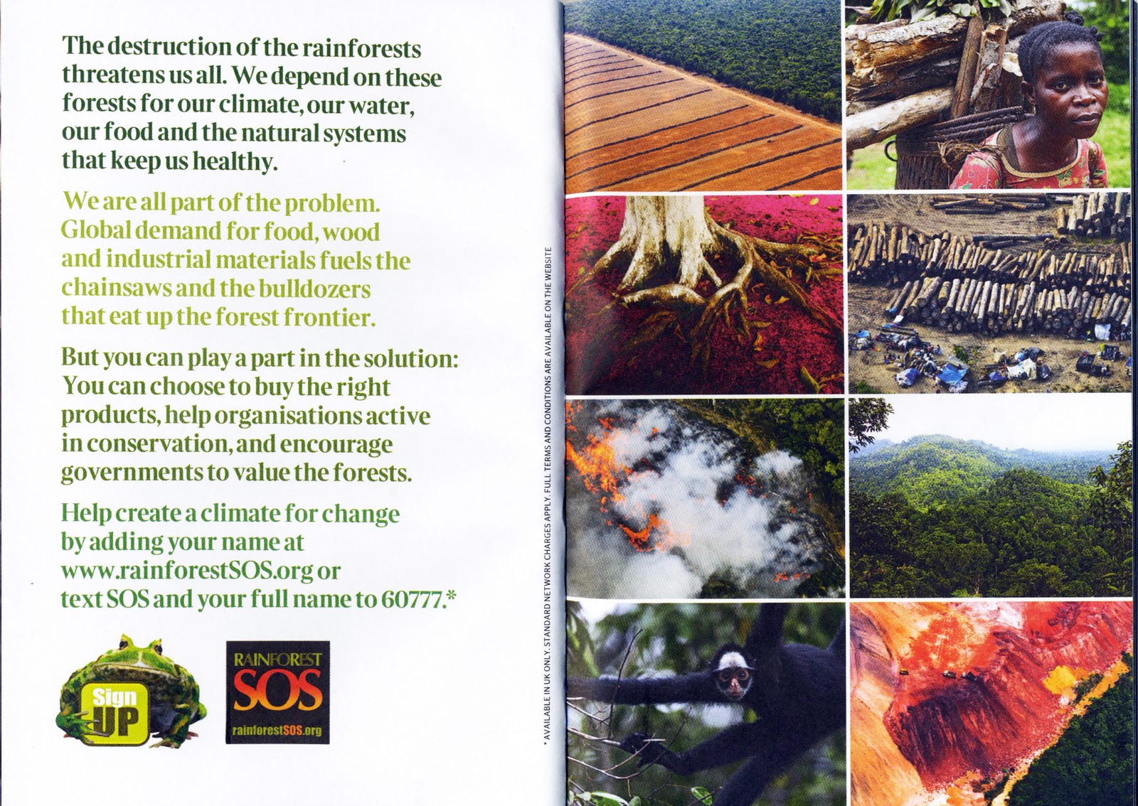 Design Context: Inspirational Ideas of Layout and Format for my Design ...