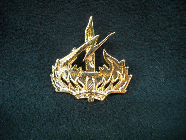 KOLEKSI MILITER JADOEL: Brevet,Wing & Patch TNI