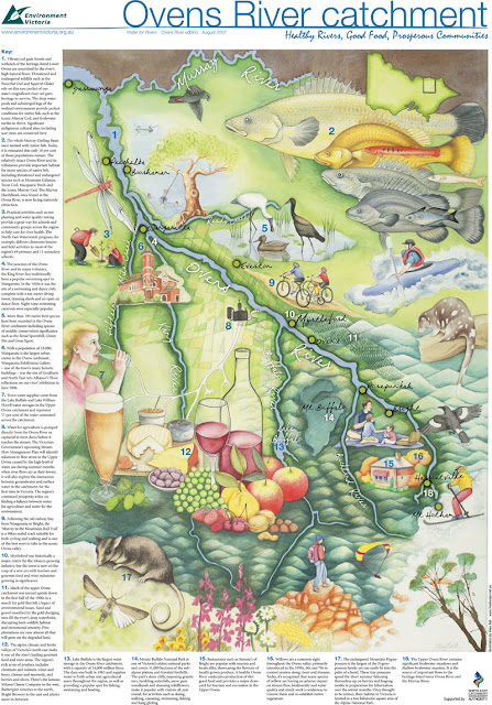 aliey ball: Illustration