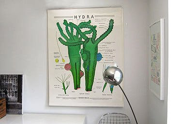 Nest: It's Educational