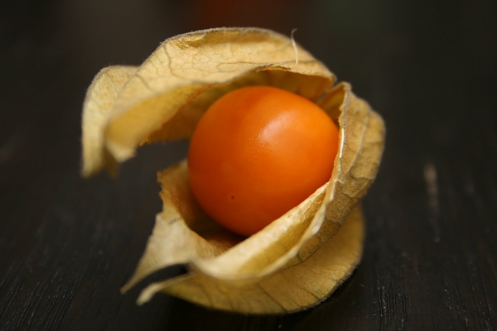 Goldenberries or Andes Fruit