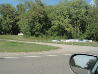 Curious Cat: Ponemah, MN