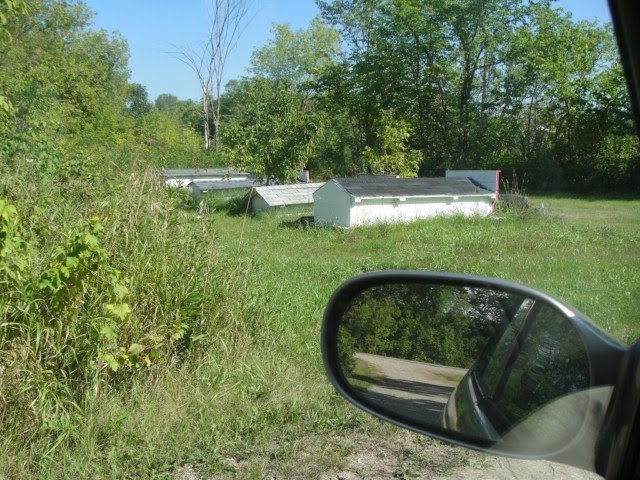 Curious Cat: Ponemah, MN