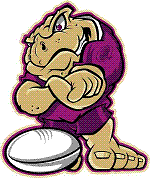 wdnicolson.com: Origin 2011: NSW v QLD State of Origin Game 3 Preview