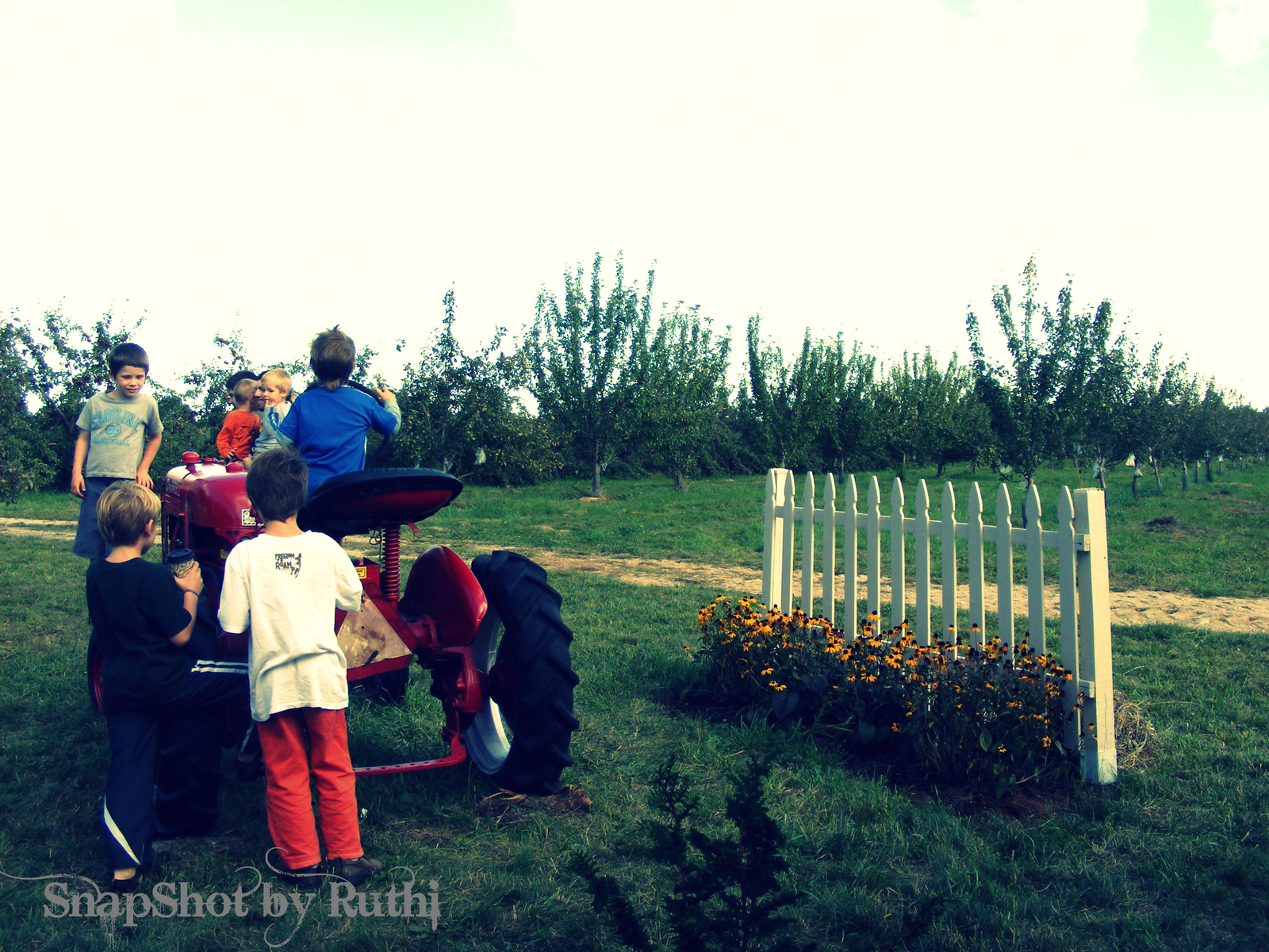 RuthinianGregoire: PYO Apple