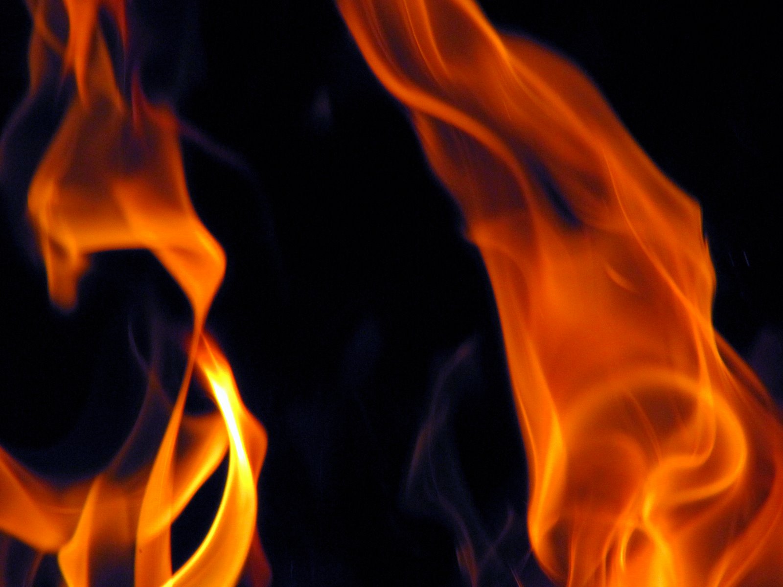 LA DUNA DEL ZORROPLAYA: Lumbre