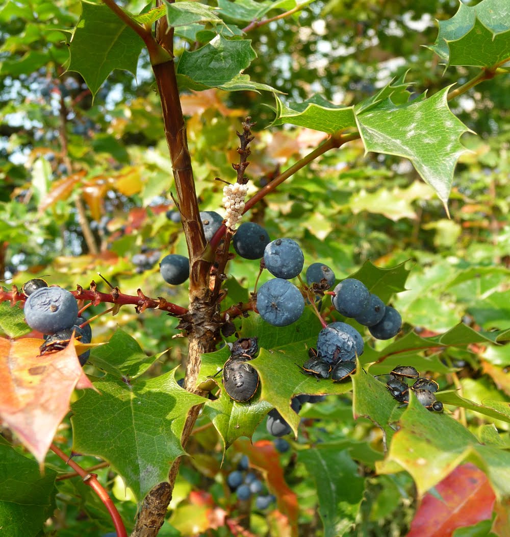 Kirsten Chursinoff: Disgustingly Pretty