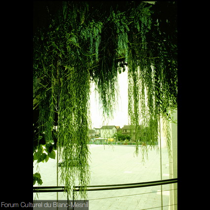 ˆ¨¥¬˚∆˙¥¨ˆ: patrick blanc