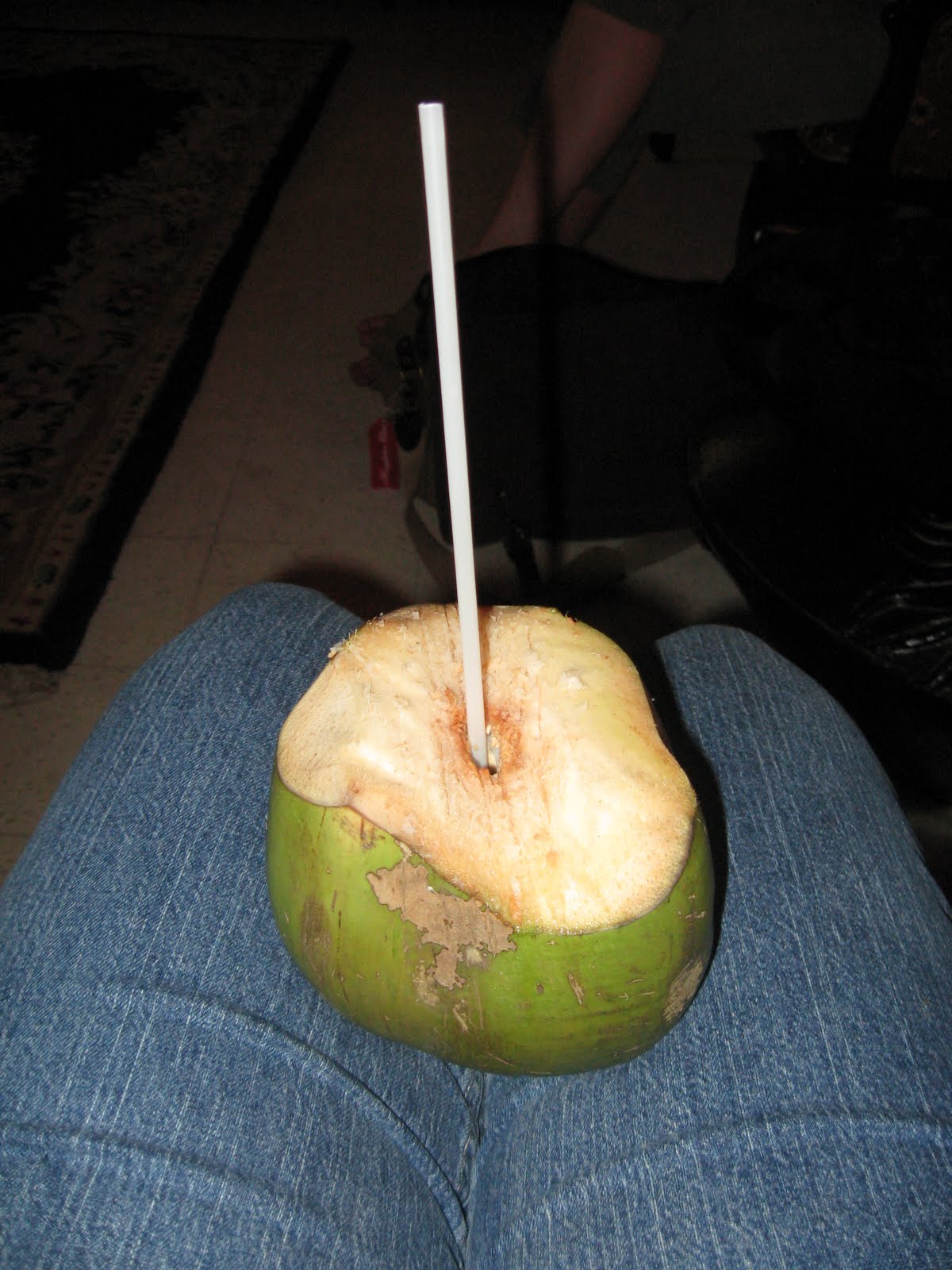 VIEWS FROM THE SHELL