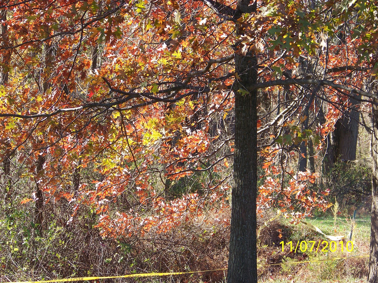 Up.: November Weather Begins