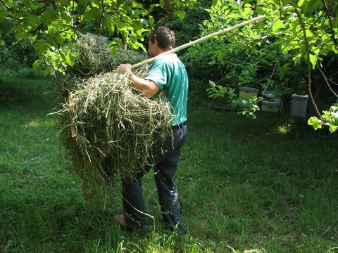 Up In the Valley: Our First Attempt At Making Hay by Hand At Verdant Farm