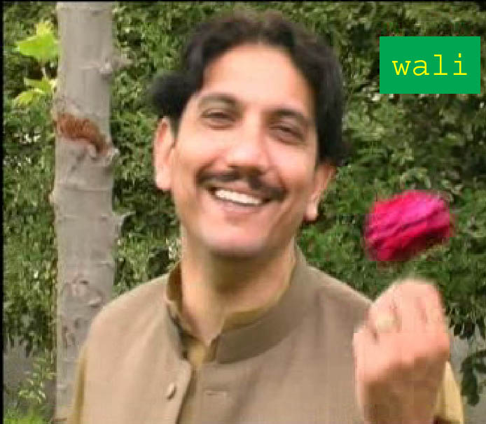 The Best Artis Collection: Pashto Singer Khalid Malik, Photos, Biography