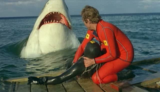 Great White (1981) | Scorethefilm's Movie Blog