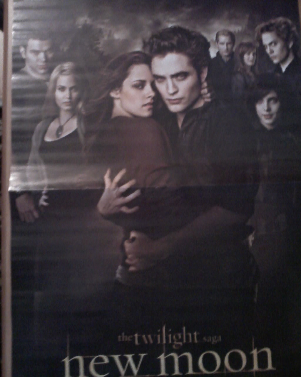 Fans Love Midnight Sun: Bravo Special-TWILIGHT