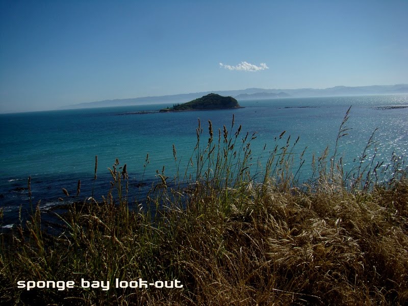 Sightseeing in Gisborne