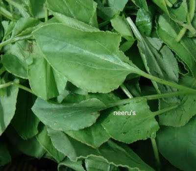 NEERU'S: KHATTA PALAK/CHUKKAKURA CURRY