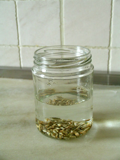 Orientar: Remoja lo bueno de la vida: Una guía a como remojar Granos