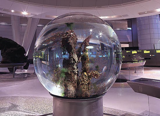 La Ecosphere, un mundo en miniatura ~ Fan del Pez
