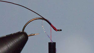 Fly and Fin: Wire Blood Worm