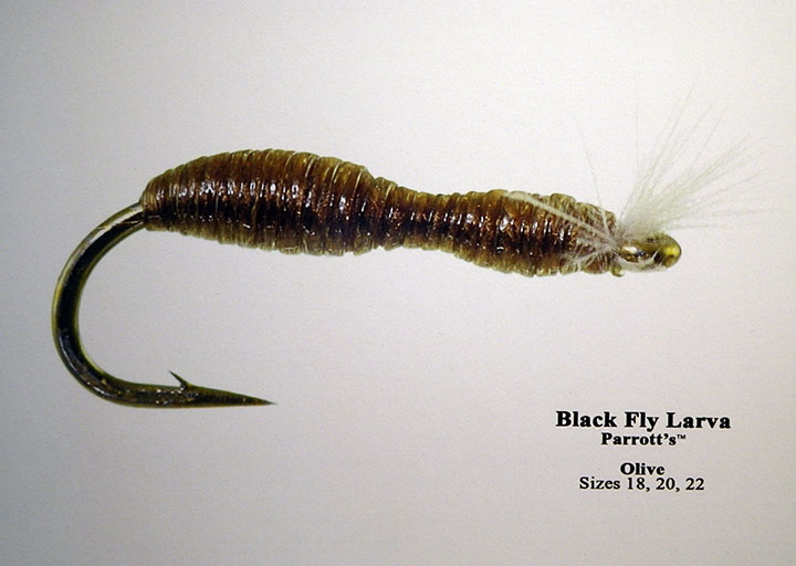 Fly and Fin: Umpqua's Black Fly Larva
