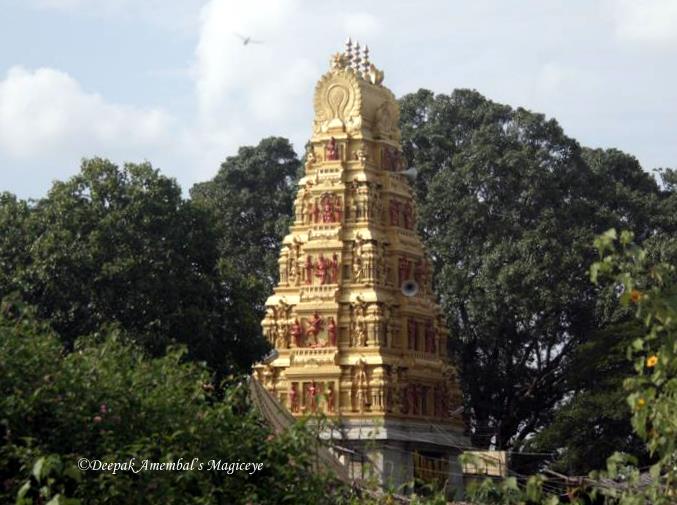 Travel magic: Mysore Ahoy for Dasara 2010!