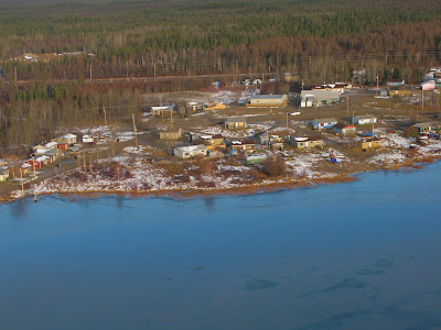 Northern Exposure Gardening: La Ronge and Wildlife
