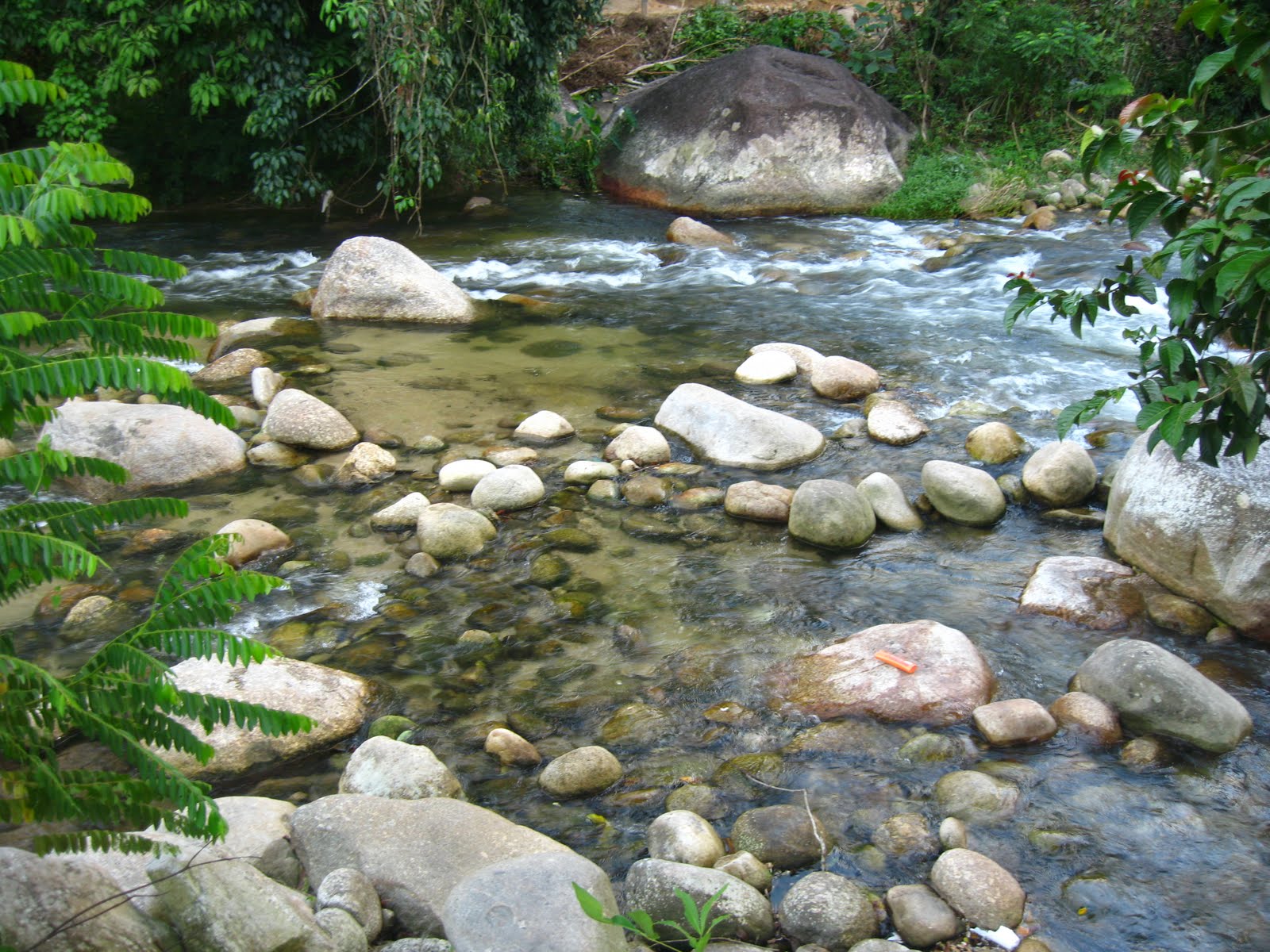 This is my story...: Sungai Sedim, Kulim, Kedah.