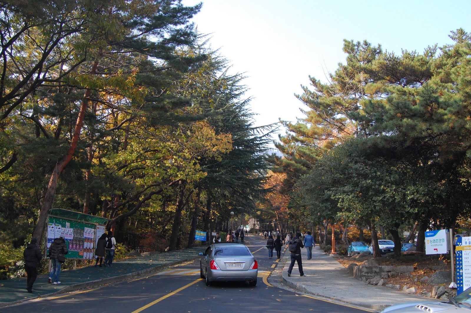 Travel Guide South Korea: Pusan National University, Busan