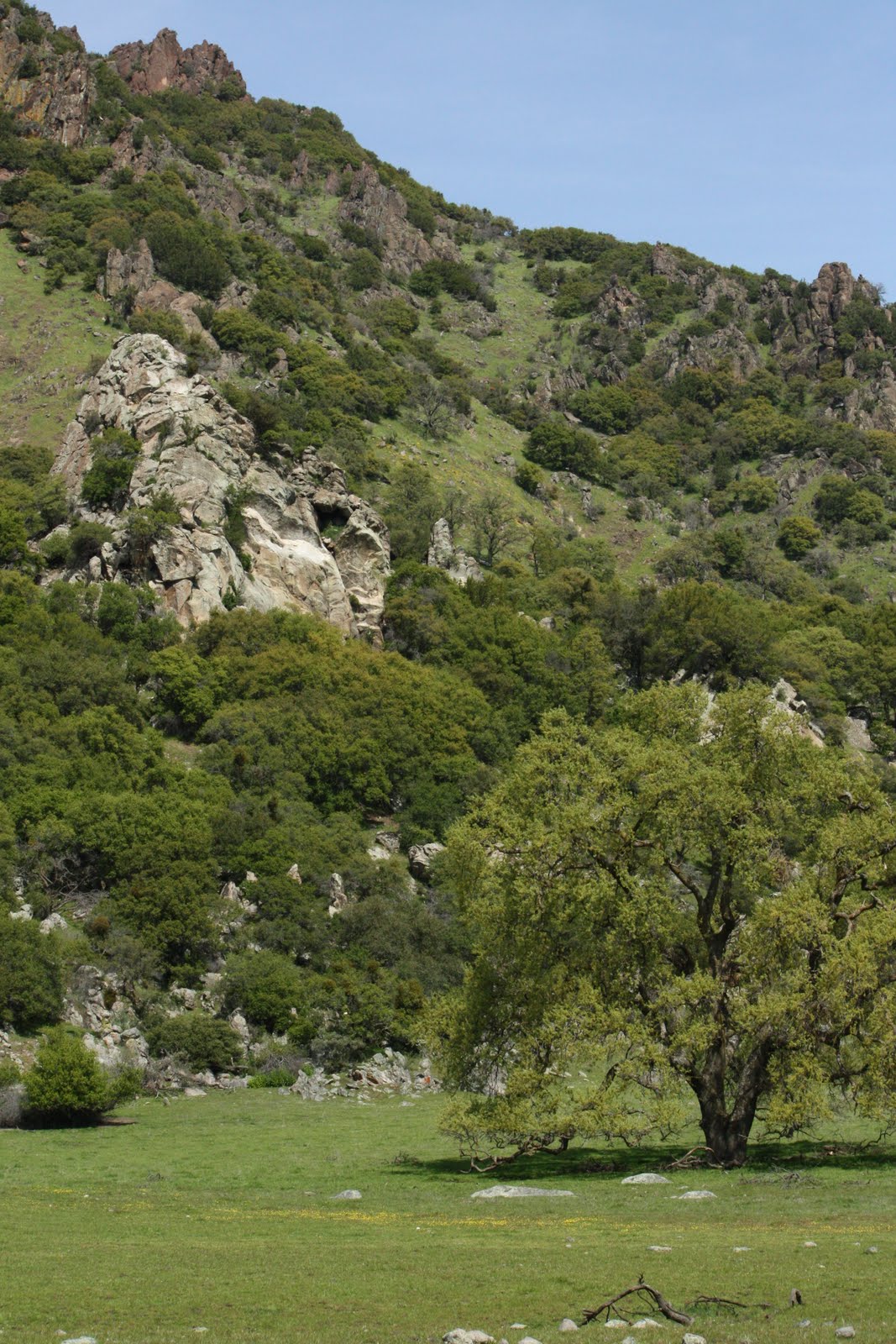 Under Angel Wings: Hiking Inside the Sutter Buttes
