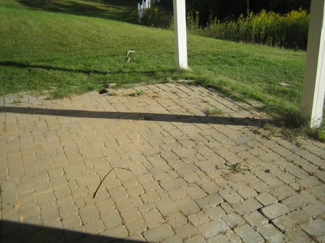 Brick Pavers,Canton,Ann Arbor,Plymouth,Brick Paver Repair near me