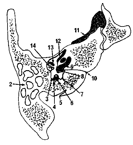 livremdical
