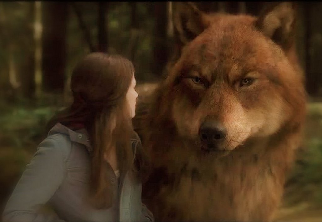 Screencaps de Jacob en Forma de Lobo con Bella « Diario Twilight
